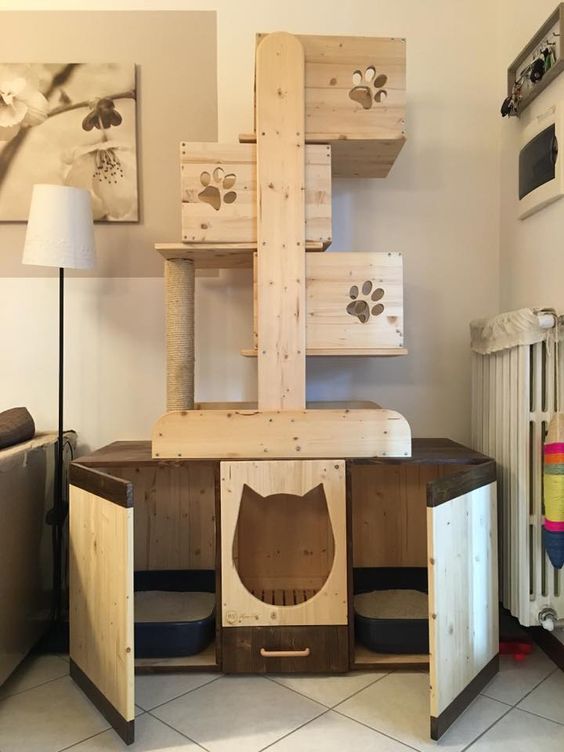 9 Purrfect Cat Homes!