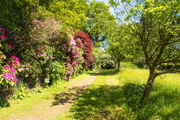 Six spring gardens to inspire your next move