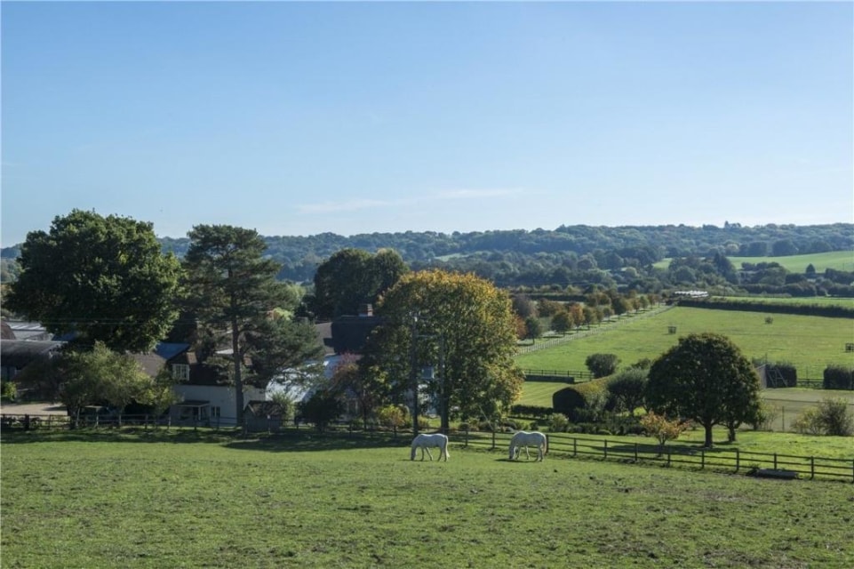 Explore four homes with mesmerising green spaces