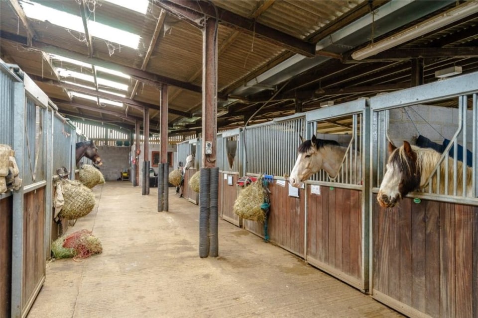 Explore four homes with mesmerising green spaces