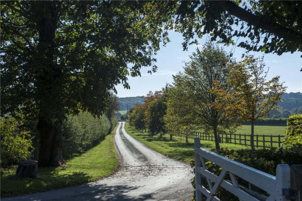 Explore four homes with mesmerising green spaces